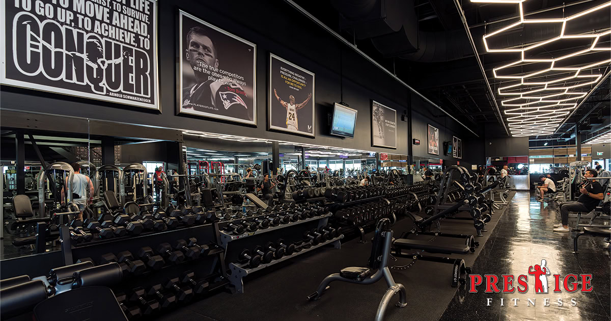 Services - Personal Trainers - Prestige Fitness Gym